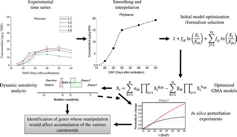Improving Carotenoid Production In Synthetic Maize Through Data Driven