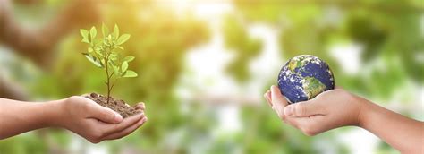 Desenvolvimento Sustentável O Que É E Como Alcançá Lo 3 Exemplos