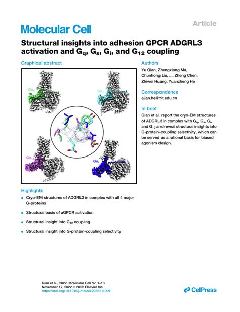 Pdf Structural Insights Into Adhesion Gpcr Adgrl3 Activation And Gq