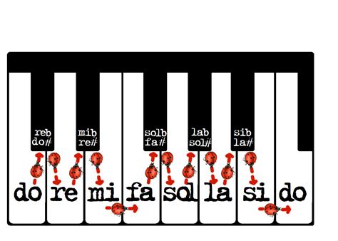 La Escala Tonos Y Semitonos Music Ideas