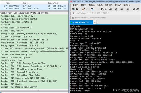 Dhcp报文分析及cc代码实现怎么用c语言设置dhcp Csdn博客