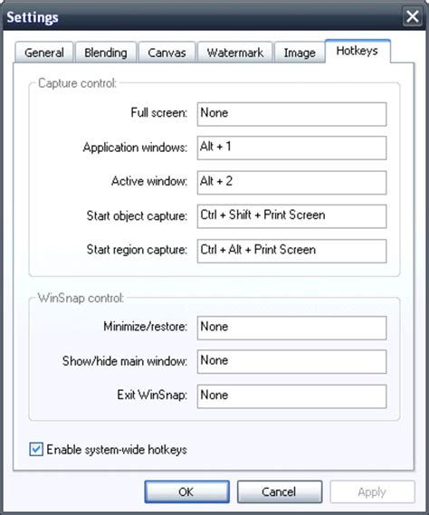 Winsnap Portable Edition Descargar