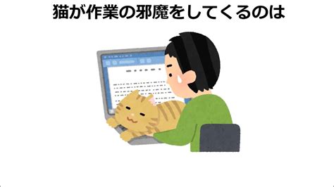 9割が知らない猫に関する雑学雑学 1分間 Youtube