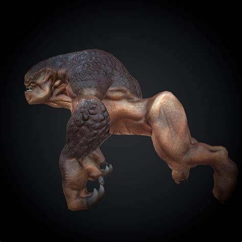 Animations Fbx