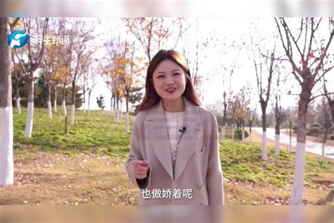大雪至，仲冬始！12月7日，我们迎来了大雪节气，防寒保暖，照顾好自己！