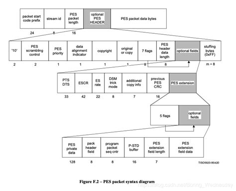 Mpeg 2 Ts相关名词解释mpeg2 Ts Csdn博客