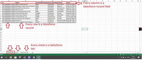 the backbone of salesforce apex part two sobjects