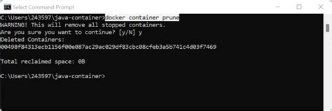 Remove Docker Containers By Id Name Or Date