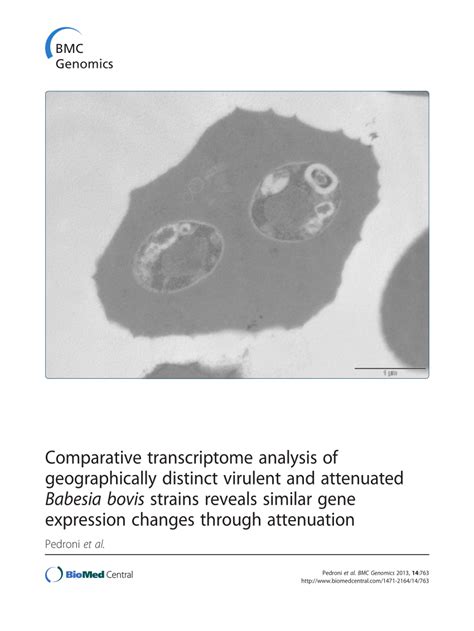 Pdf Comparative Transcriptome Analysis Of Geographically Distinct