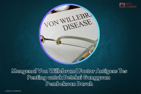 Mengenal Von Willebrand Factor Antigen Tes Penting Untuk Deteksi Gangguan Pembekuan Darah