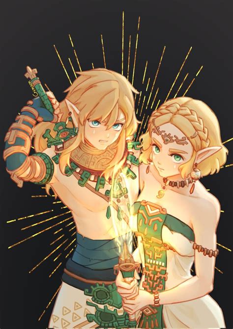 Lilysun1030 Link Princess Zelda Hyrule Warriors Age Of Imprisonment