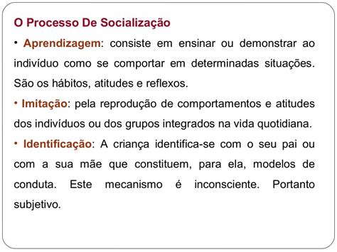 Processo De Socialização