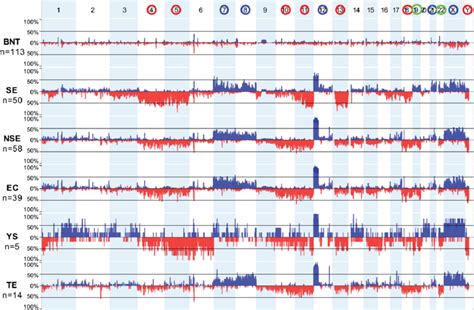 Somatic Copy Number Aberration Scna Profiles In Tgct Subtypes Top