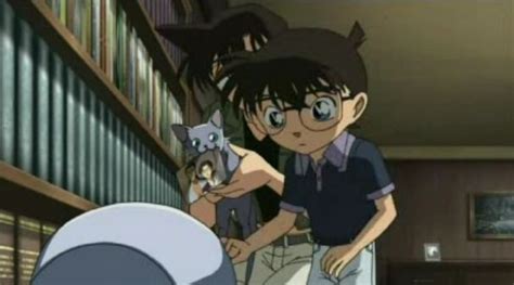 妃英理弁護士の恋 Meitantei Conan 16x09 Tvmaze