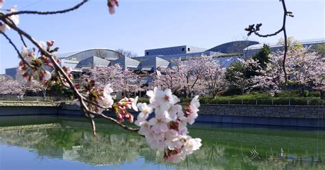 泉佐野市立文化会館愛称エブノ泉の森ホール クラシック音楽情報サイトOPUS オーパス