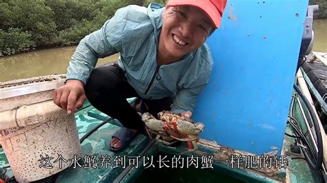 刀仔把抓的大螃蟹拿去卖，却10块一斤，突然想到一个发财的妙招 Youtube
