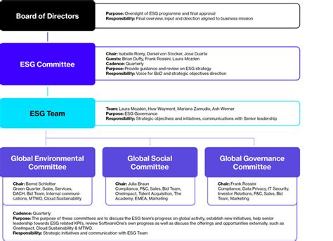 Our Esg Structure And Framework Softwareone Esg 2022