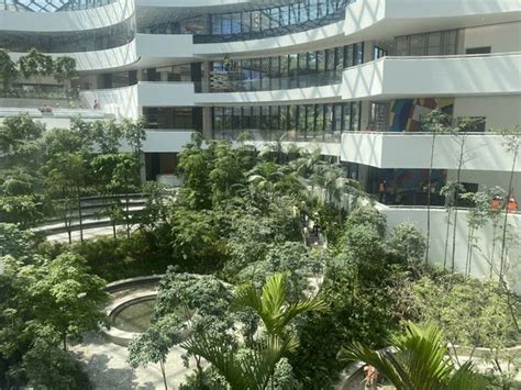 Isabel Duprat Centro De Ensino E Pesquisa Albert Einstein Kew Gardens Einstein Área Verde