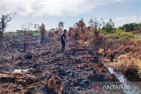 Kebakaran Lahan Seluas 1 5 Hektare Di Aceh Barat Sudah Padam ANTARA