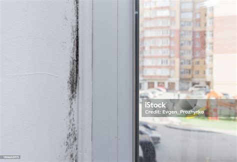 환기 습기 아파트의 추위 창틀의 설치 불량 겨울에는 방 난방이 부족한 문제 Pvc 창 근처 코너 벽에 검은 곰팡이와 곰팡이 0명에 대한 스톡 사진 및 기타 이미지 Istock