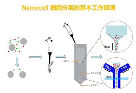 创新的单细胞分选仪Namocell CoreAb 北京沫之东生物技术有限公司官网