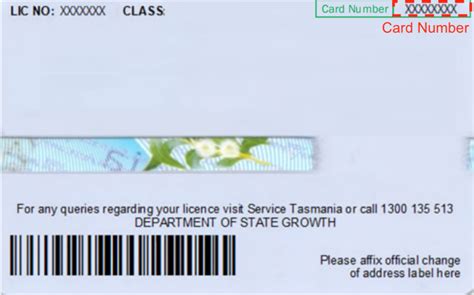 Where Is My Driver Licence Card Number Snug Help