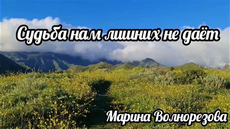 философские стихи Судьба нам лишних не даёт Автор Марина Волнорезова
