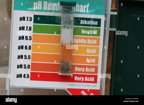 Printable Ph Color Chart