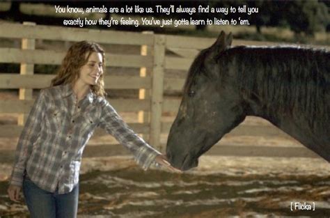 Flicka Movie Quotes Quotesgram