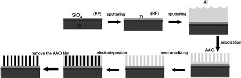Schematic Of The Procedure For The Preparation Of A Brush Shape Pt