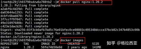 解决docker无法拉取镜像问题 知乎