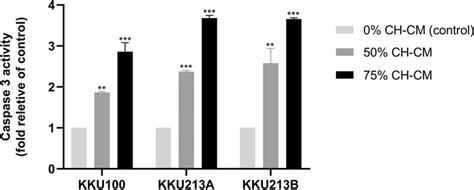 Ch Cm Induces Activation Of Caspase 3 Activity In Cca Cell Lines The
