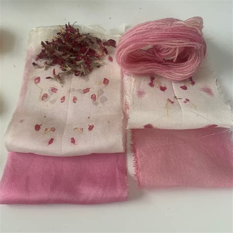 Matthiola Bicornus Deep Pink Bailiwickblue