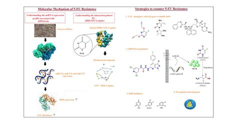 5 Fluorouracil