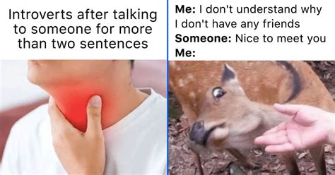 40 Funny Memes That Perfectly Capture The Awkwardly Hilarious Life Of
