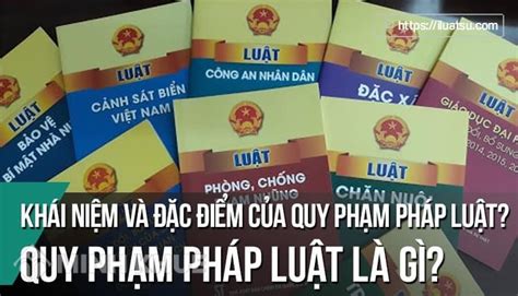 Top 5 Sự Khác Nhau Giữa Văn Bản Pháp Quy Và Văn Bản Hành Chính Mới Nhất