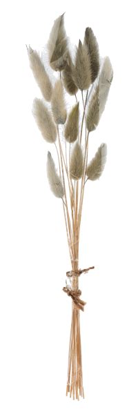 Wholesale Green Foxtail Grass Bundle Ganz