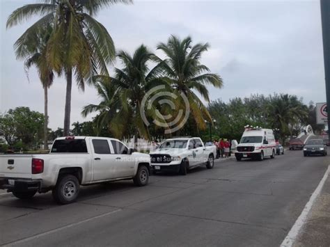 Muere Indigente Atacado Por Cocodrilo En La Laguna Del Carpintero