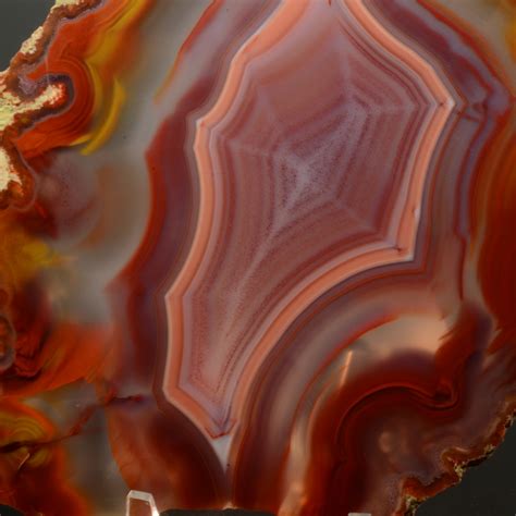 Apache Agate Slice A2 Kristalle Est 1971