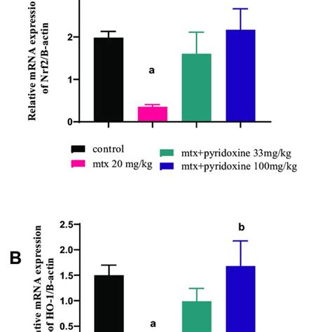 Chemical Structure Of Methotrexate Mtx 5 Download Scientific Diagram