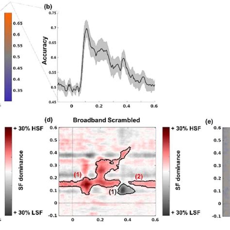 Sensor Space Spatial Frequency Classification And Generalization A Download Scientific