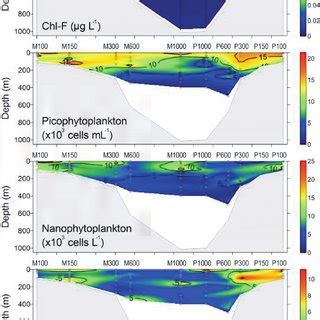 Vertical Profiles Of Chlorophyll A Fluorescence Chl F Concentration