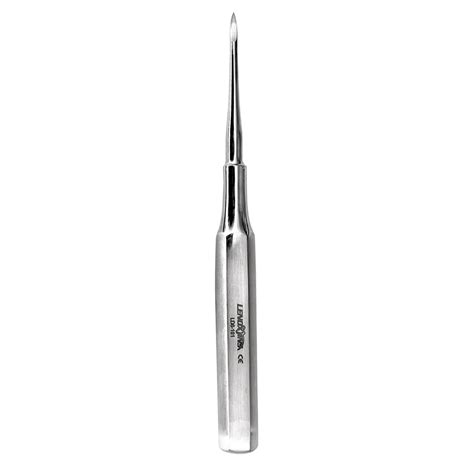 Root Tip Picks