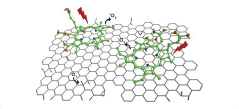 Schematic Representation Of The Flg Ce6 Hybrid Nanomaterial Ce6 Download Scientific Diagram