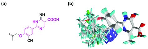 Molecular Alignment For The 3d Qsar Models A The Common Scaffold