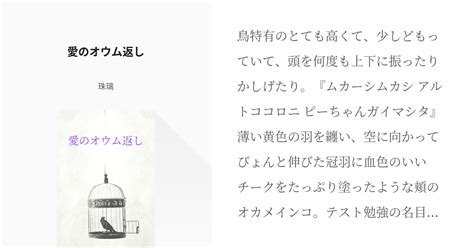 テニスの王子様 木手永四郎 愛のオウム返し 珠璃の小説 Pixiv