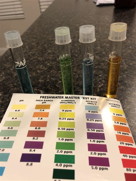 API Freshwater Master Test Kit Showing PH Of Tapwater At 50 OFF