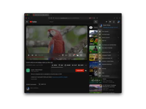 Svg Replacer Get This Extension For 🦊 Firefox En Us