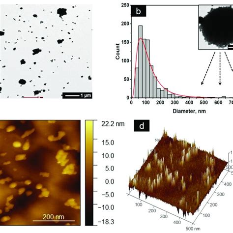 Morphological Analysis Of The Agnps Ab Sem Image And The Download Scientific Diagram