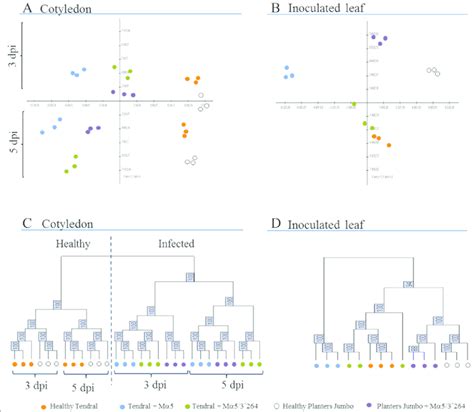 analysis of biological variability in microarray samples a b principal